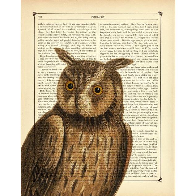 Weise Eule Kunstdruck Vogel Wald Poster Cottagecore Vintage - Dark ...